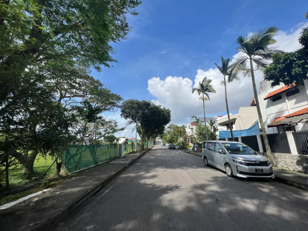 Serangoon Garden - The wandering fool