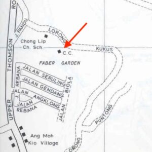 Shunfu, Jalan Pemimpin & Bishan North - The wandering fool