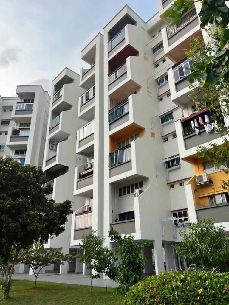 Shunfu, Jalan Pemimpin & Bishan North - The wandering fool